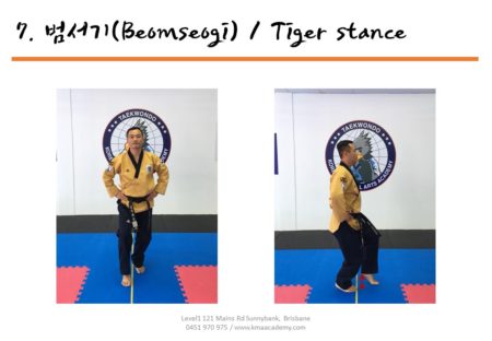 Principle of Stance | Taekwondo